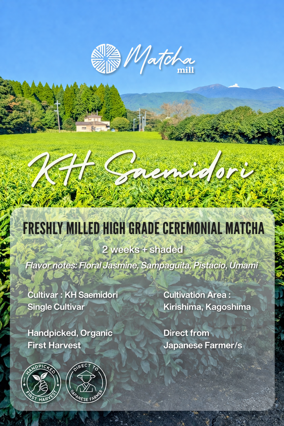 Matcha Mill Philippines